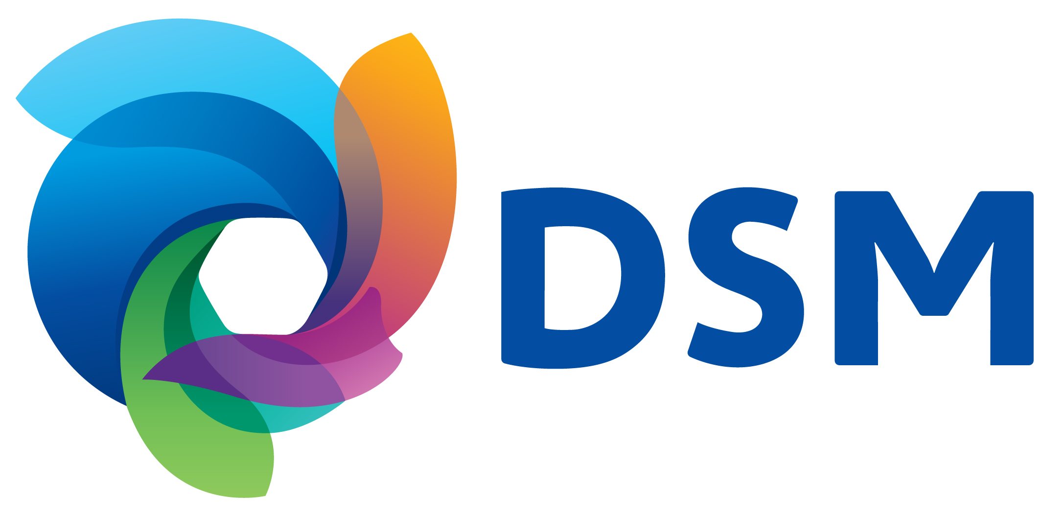 DSM_logo - The Tent Partnership for Refugees